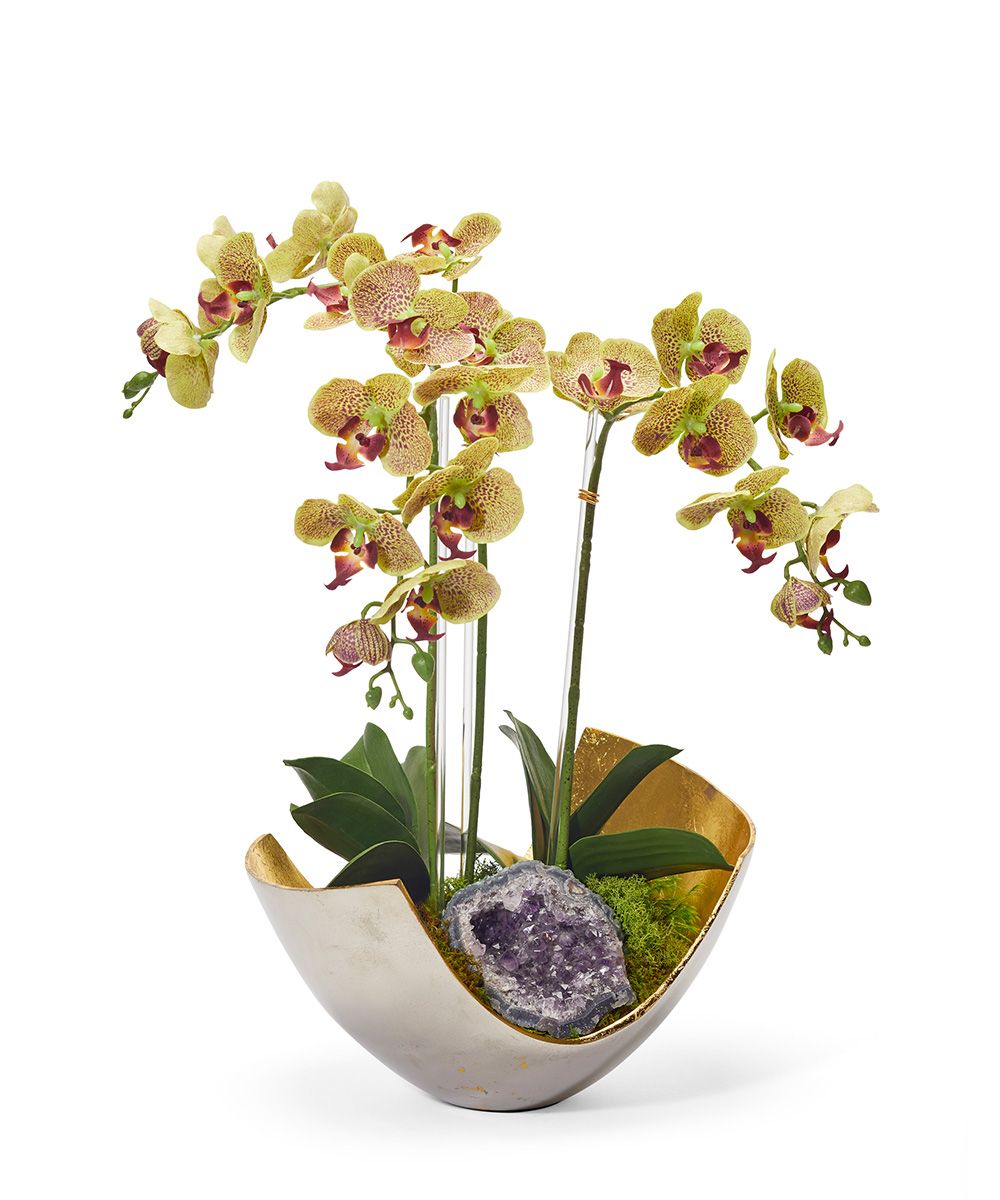 Orchids in Mixed Metal Scoop – T&C Floral Company